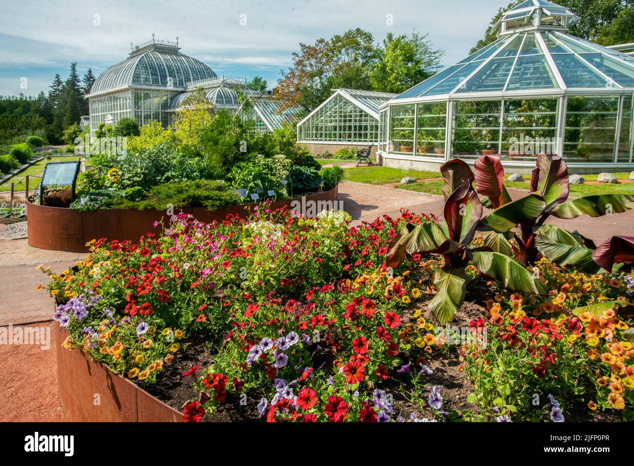 Amazing landscape in Helsinki Kaisaniemi Botanical Garden plants ...