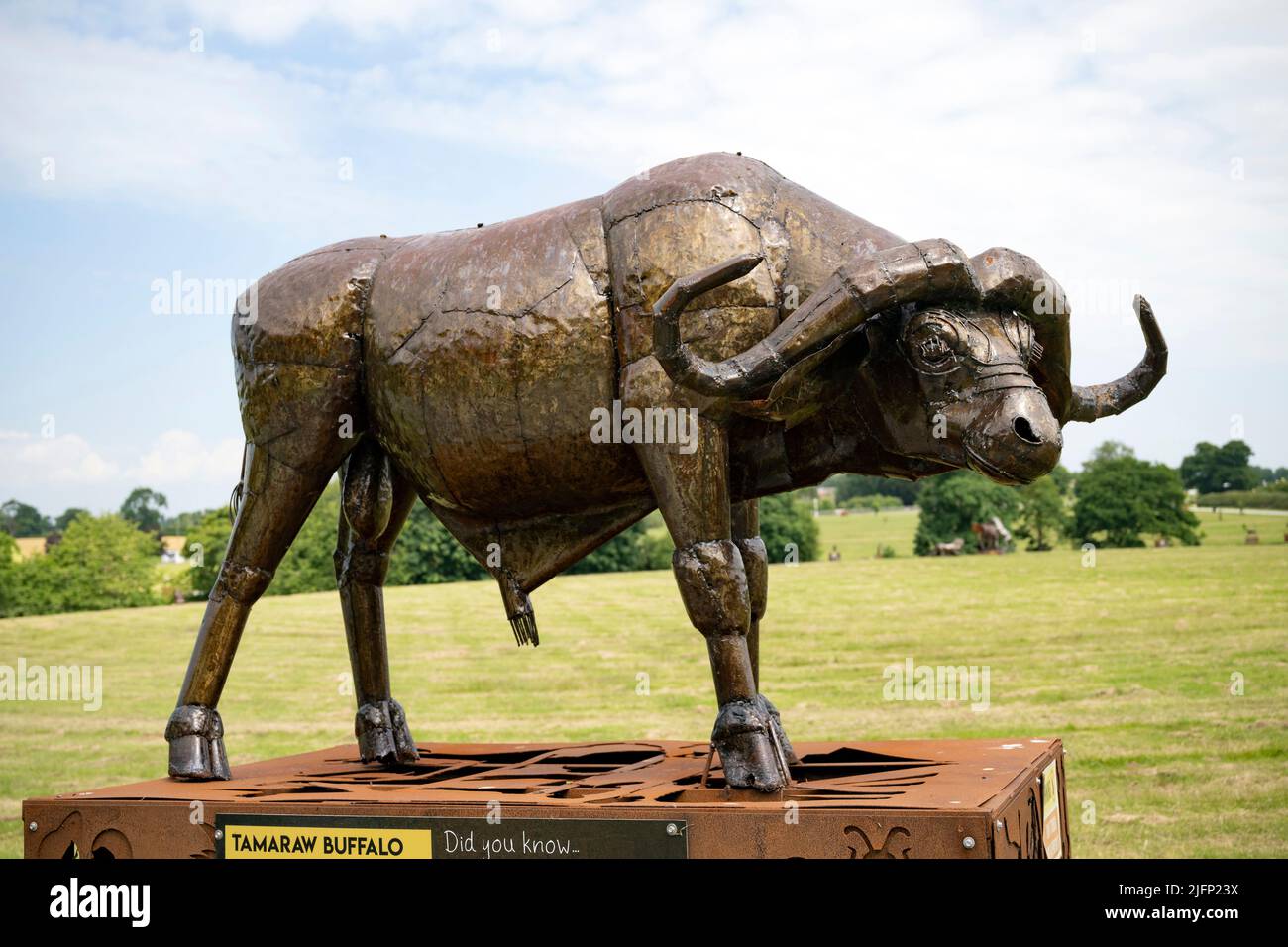 The British Ironwork Centre, African Buffalo Exhibit/Sculpture Stock ...