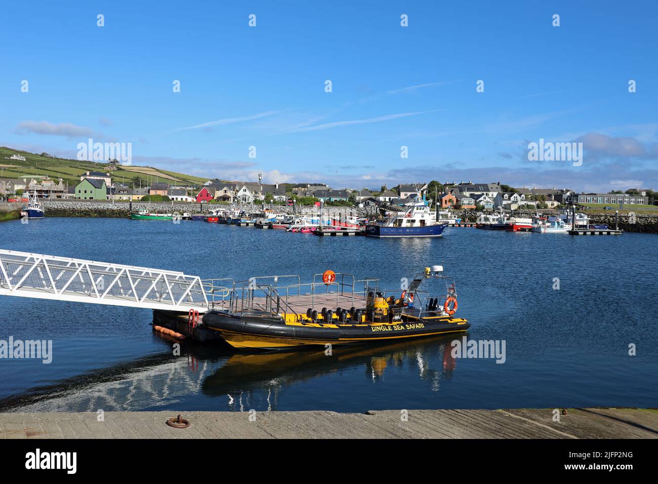 Dingle sea safari hi-res stock photography and images - Alamy