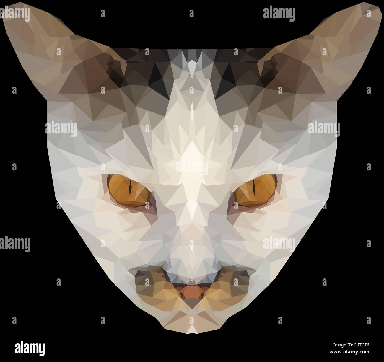 Hand drawn crystal, polygonal design of a pet cat with white, brown ...
