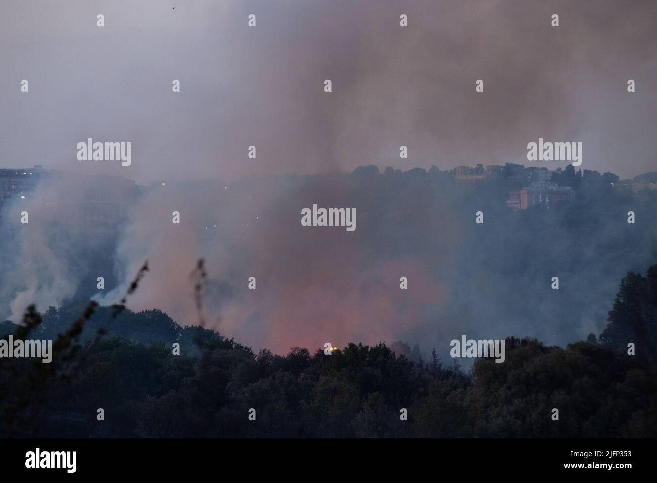 Parco pineto hi-res stock photography and images - Alamy