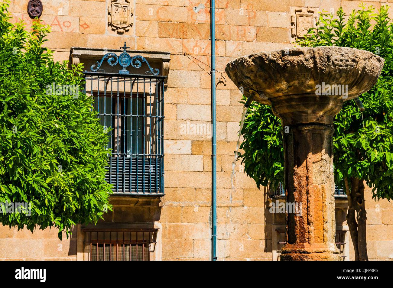 Cathedral square with orange trees that provide shade and facade of the ...