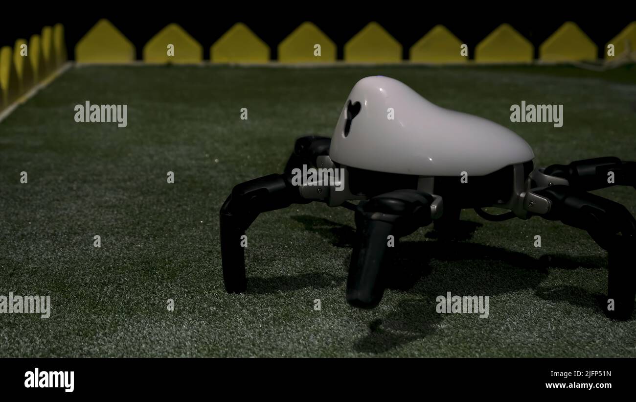 Moving Spider Robot. HDR. Exhibition of modern technologies in robotics ...
