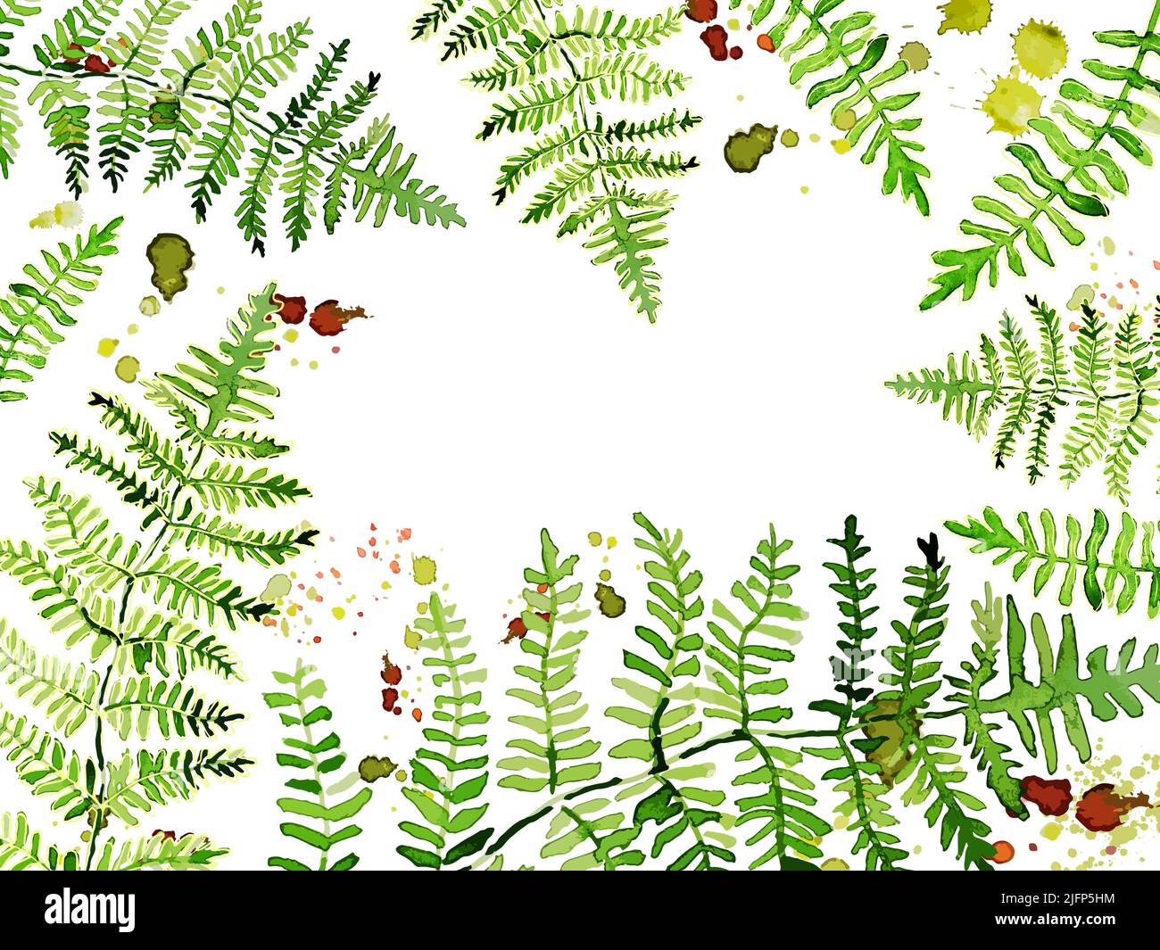 background with watercolor green fern leaves. Vector illustration Stock ...