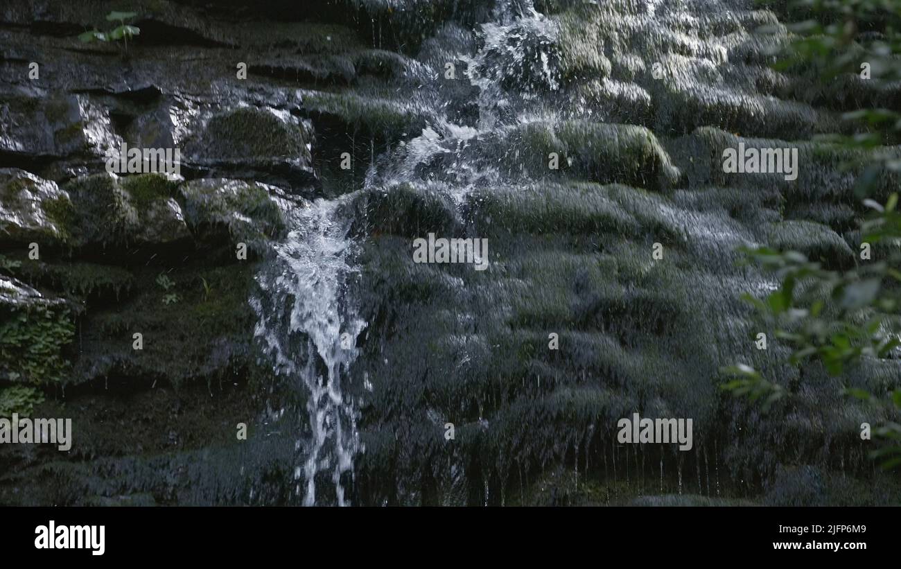 Beautifully falling water from rocks in forest. Creative. Beautiful ...