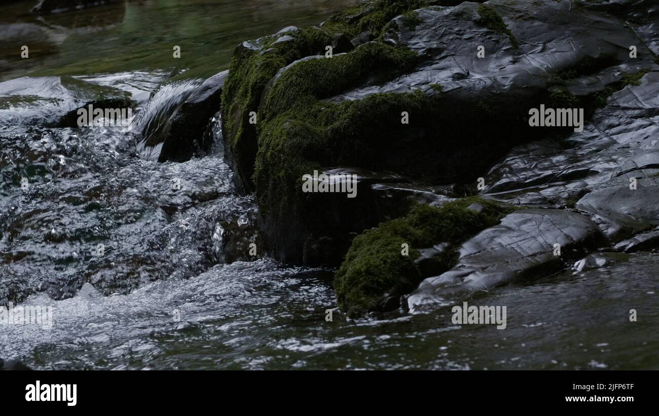Close up of small waterfall in the tropical rainforest jungle. Creative ...