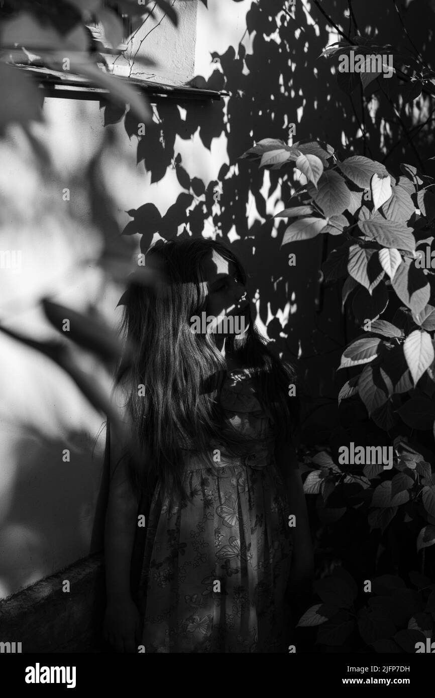 Shadow girl on an orange wall in summer Stock Photo - Alamy