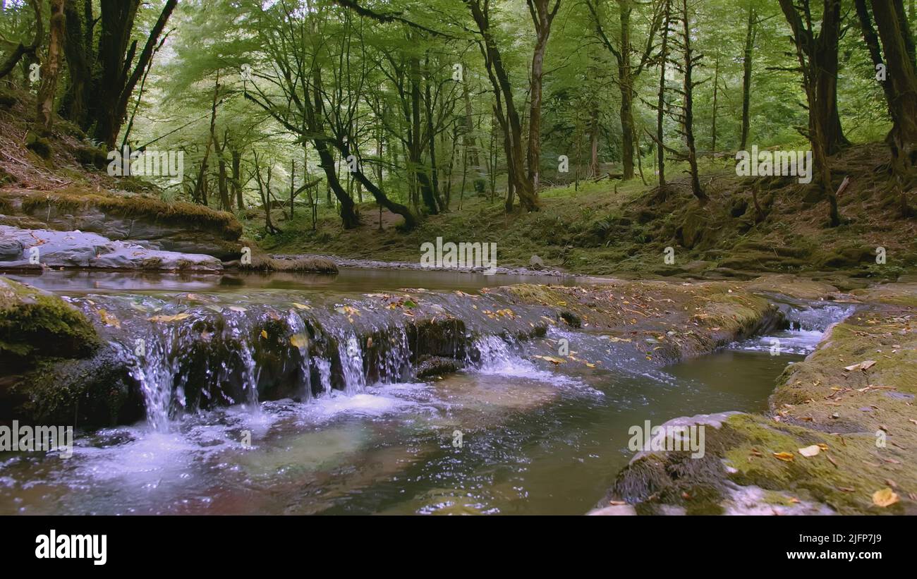 Beautiful little waterfalls with quiet rivers in forest. Creative ...