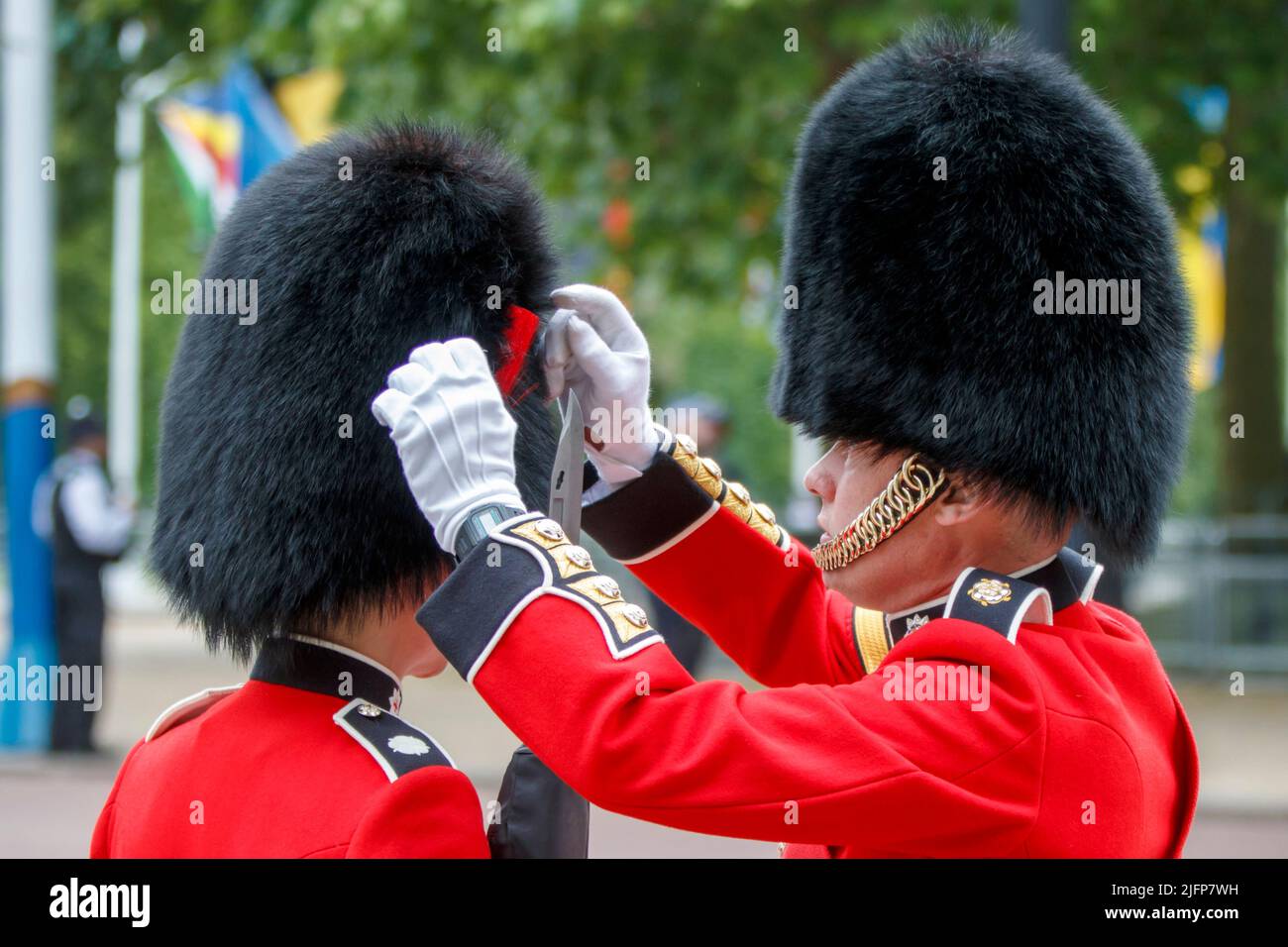 A Coldstream Guards street liner has his bearskin adjusted at Trooping ...