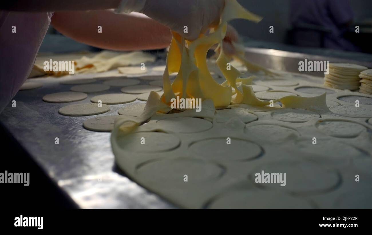 Food factory.Clip. Production of various frozen products such as ...