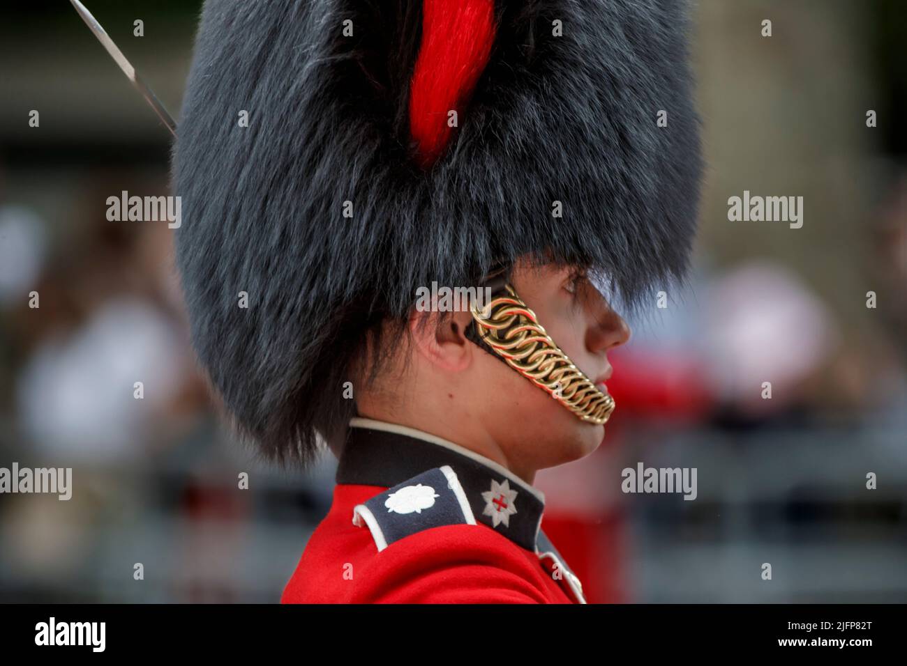 Headshot of Coldstream Guardsman at Trooping the Colour, Colonel’s ...