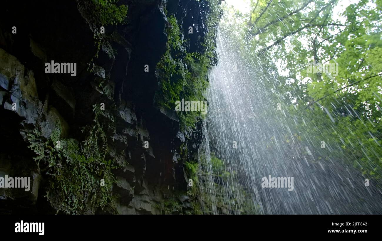 A small cascade and waterfall in lush green forest. Design. Natural ...