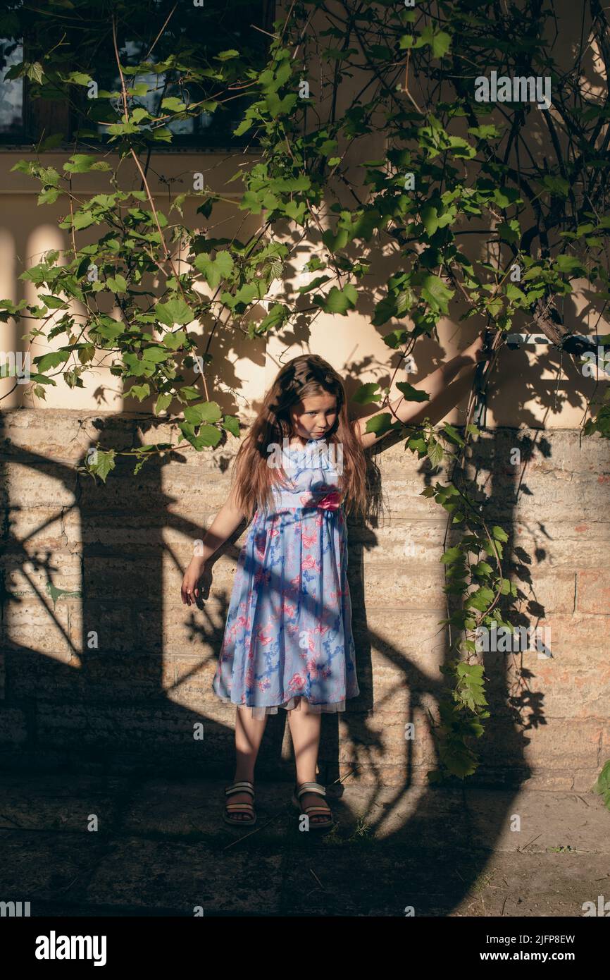 Shadow girl on an orange wall in summer Stock Photo - Alamy