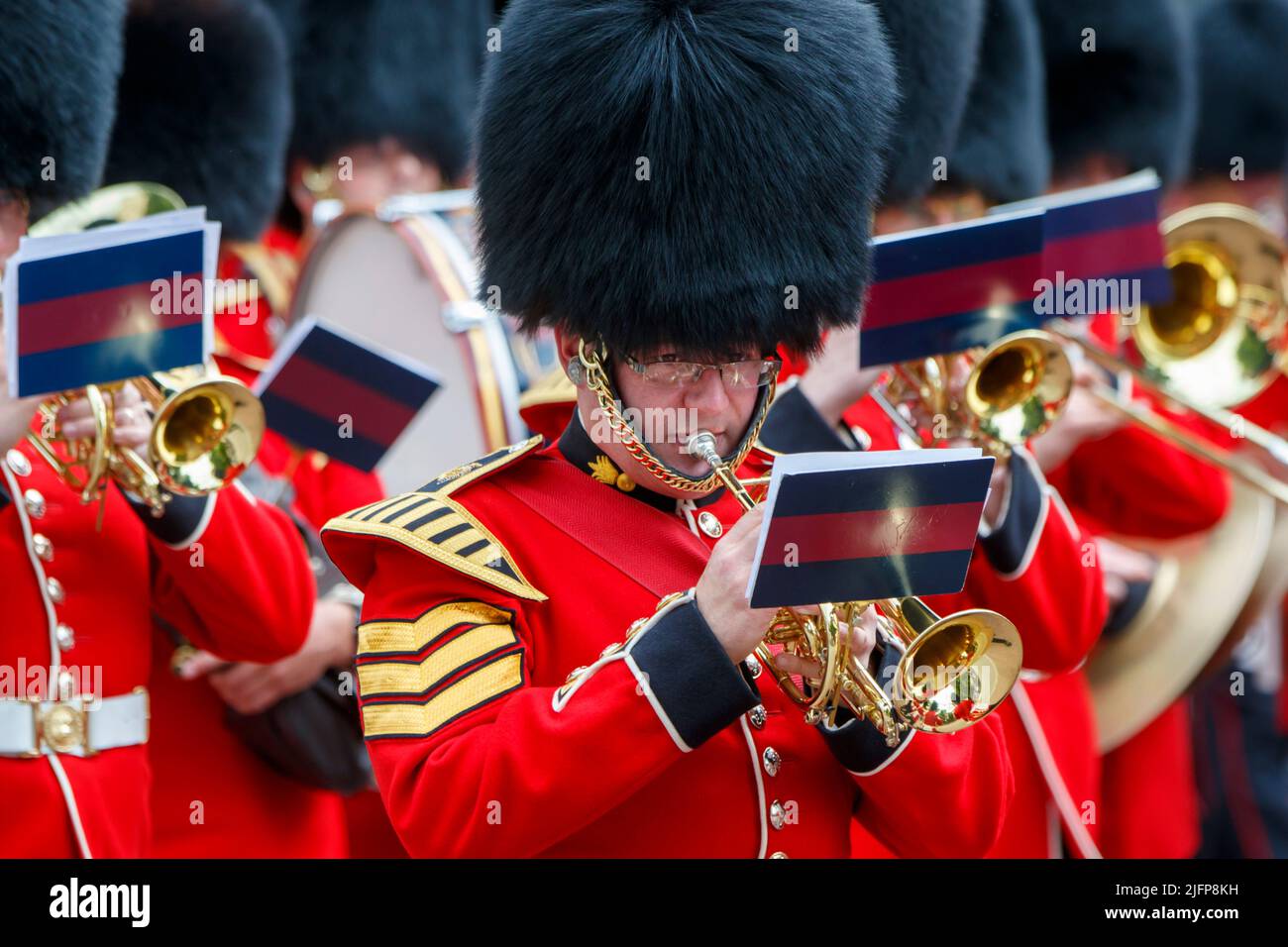Trumpet player of the grenadier guards at Trooping the Colour, Colonel ...