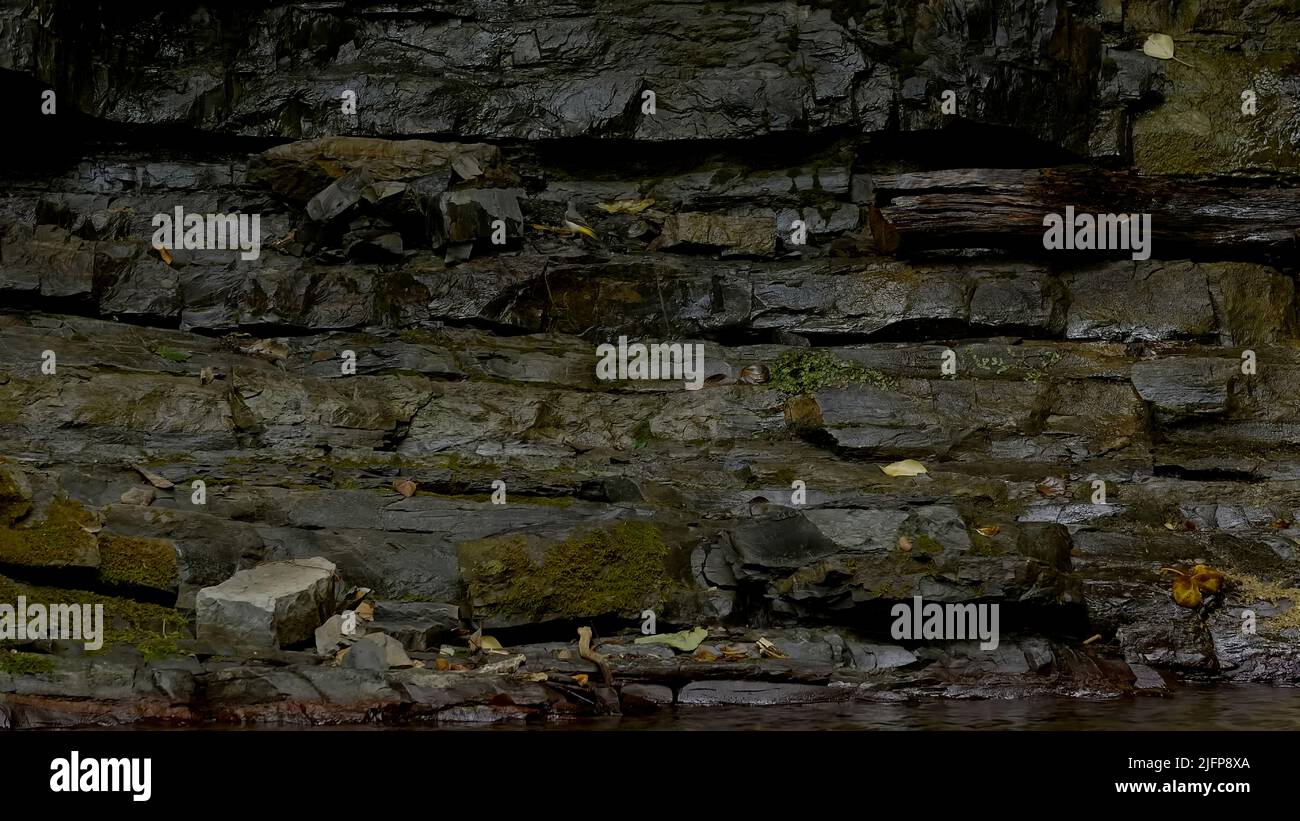 Tiny waterfall running over stones.Creative. Small drops of water ...