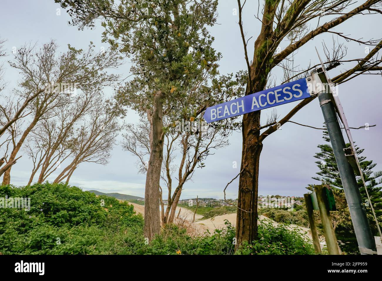 Beach access sign pointing to the beach at One Mile Beach, Forster NSW ...