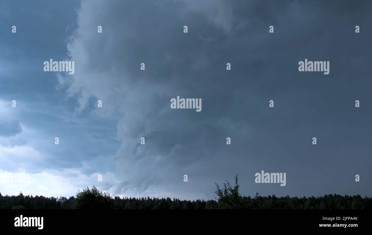 Trees that are swayed by the wind. Creative. A landscape in which a ...