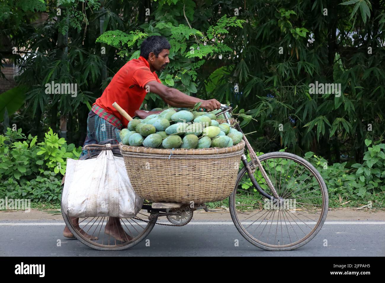 Kansat, Chapainawabgonj, Bangladesh. 4th July, 2022. Farmers are ...