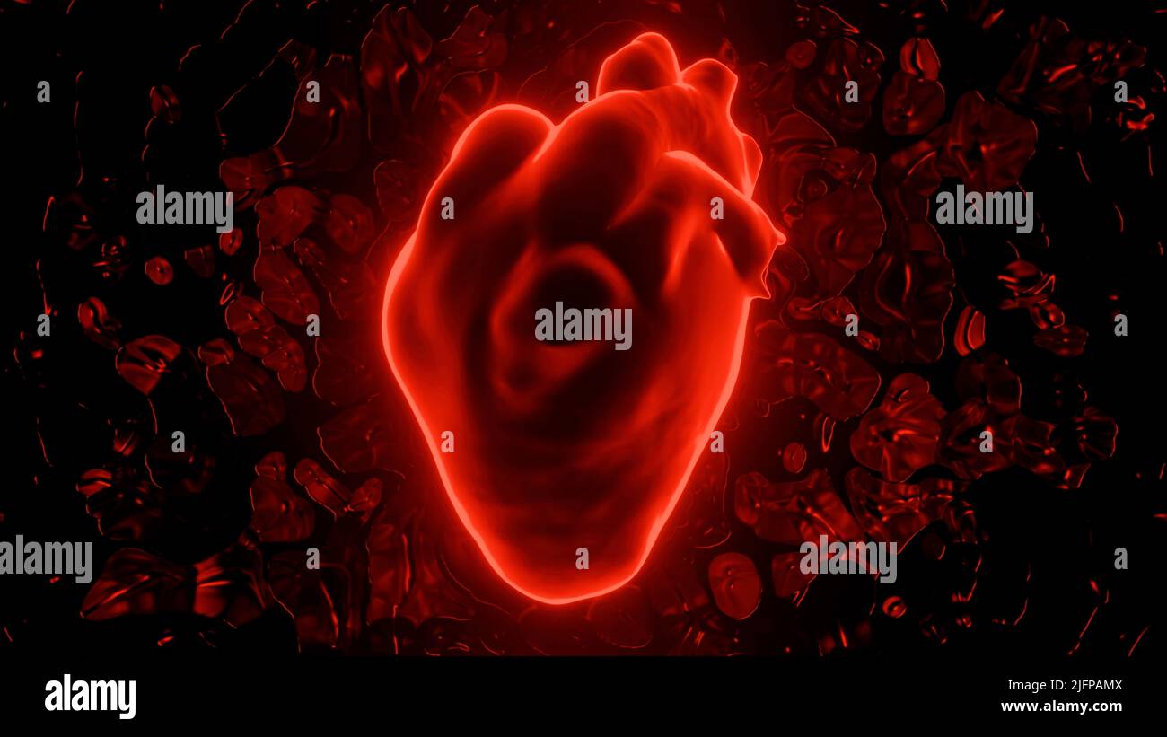 Digital model of the human realistic beating heart, diagnostic of the ...