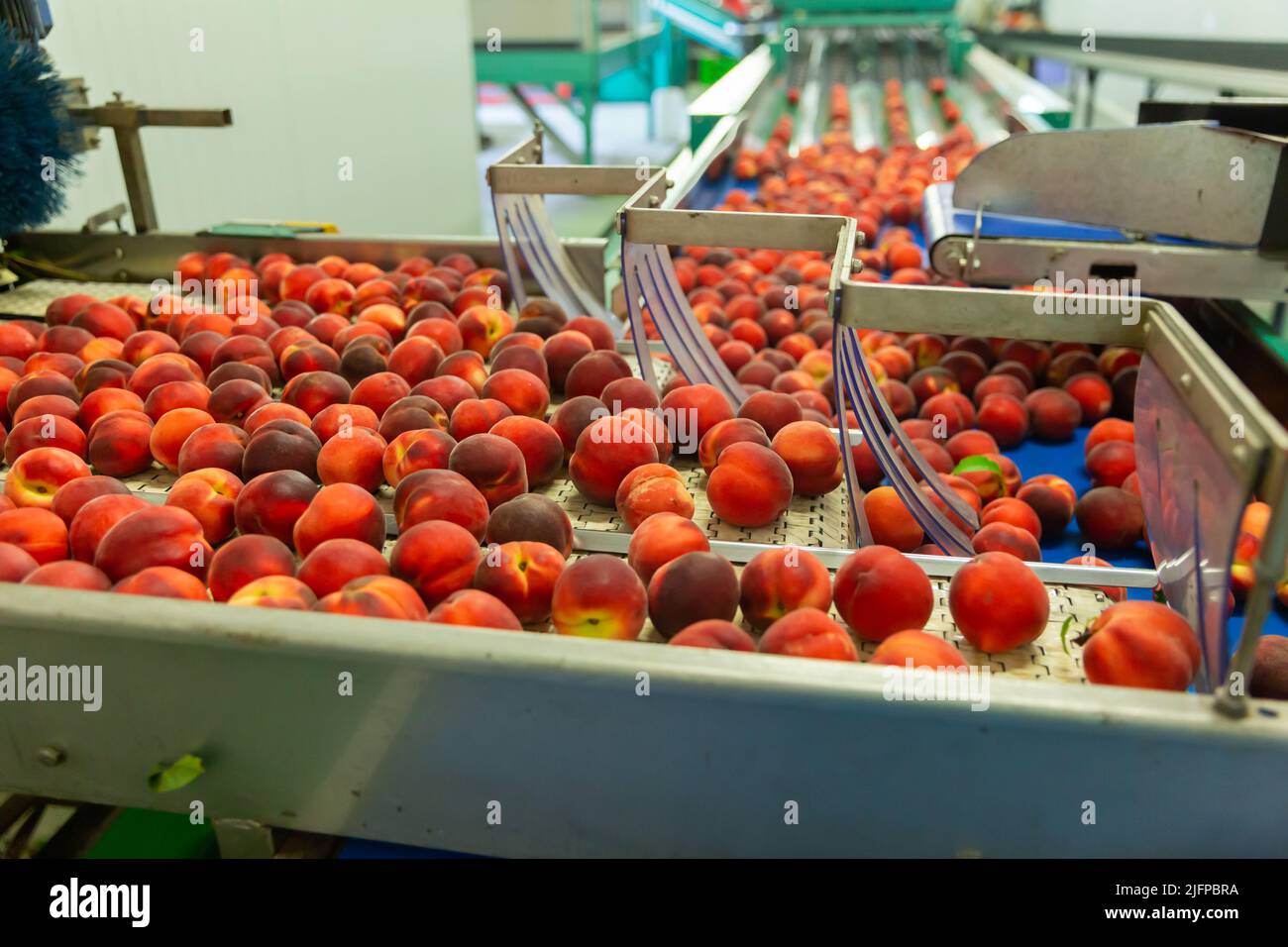 Peach belt hi-res stock photography and images - Alamy