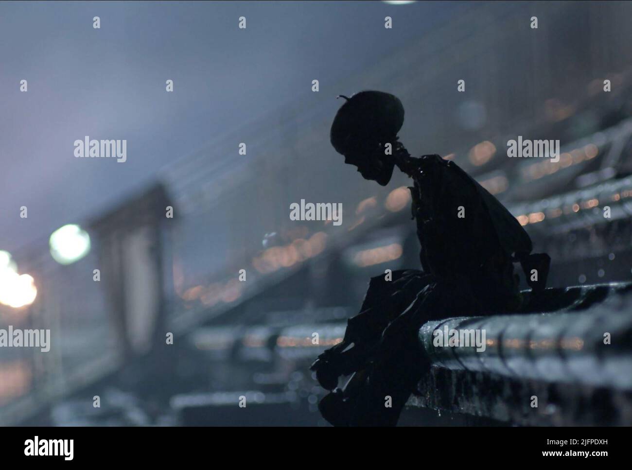 SKELETON FAN, GOAL OF THE DEAD, 2014 Stock Photo - Alamy