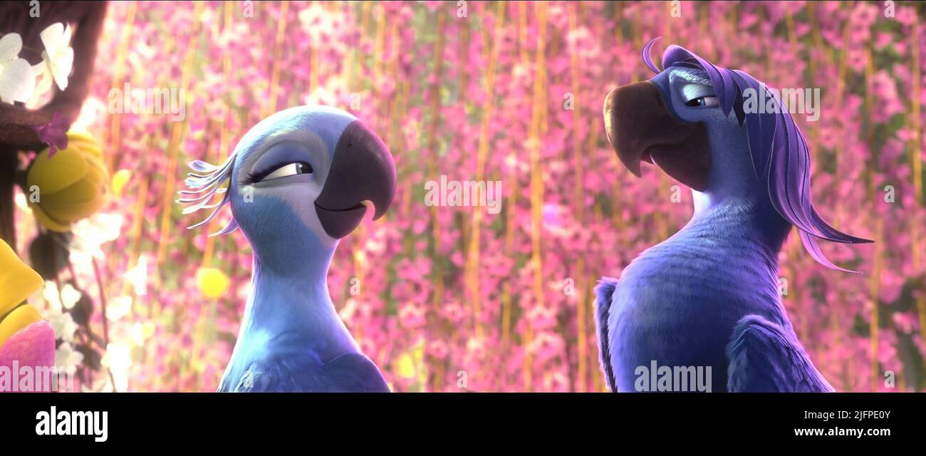JEWEL, ROBERTO, RIO 2, 2014 Stock Photo - Alamy