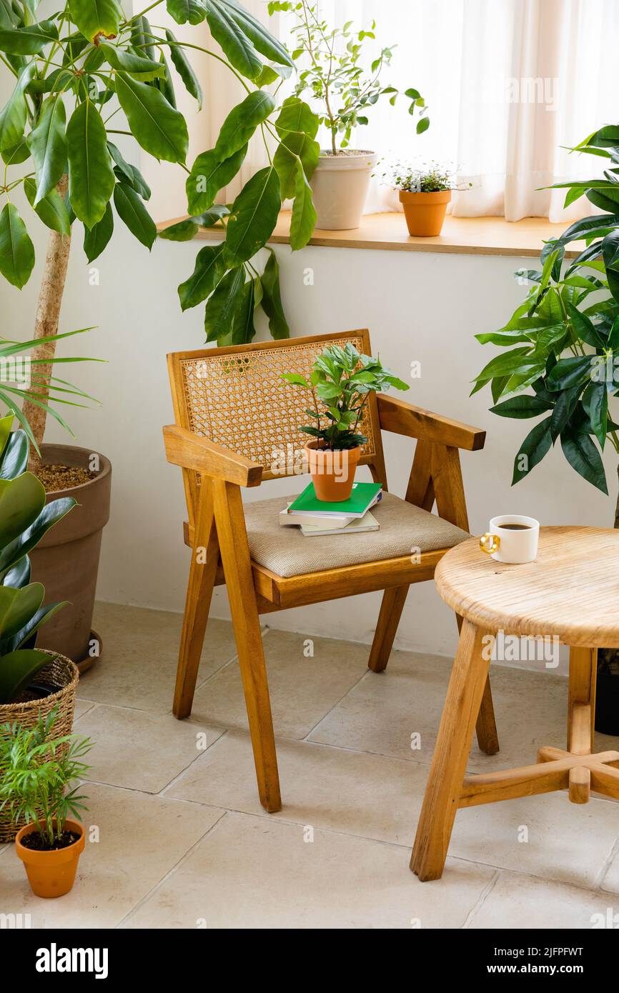 planterior, raising plants at home Stock Photo - Alamy