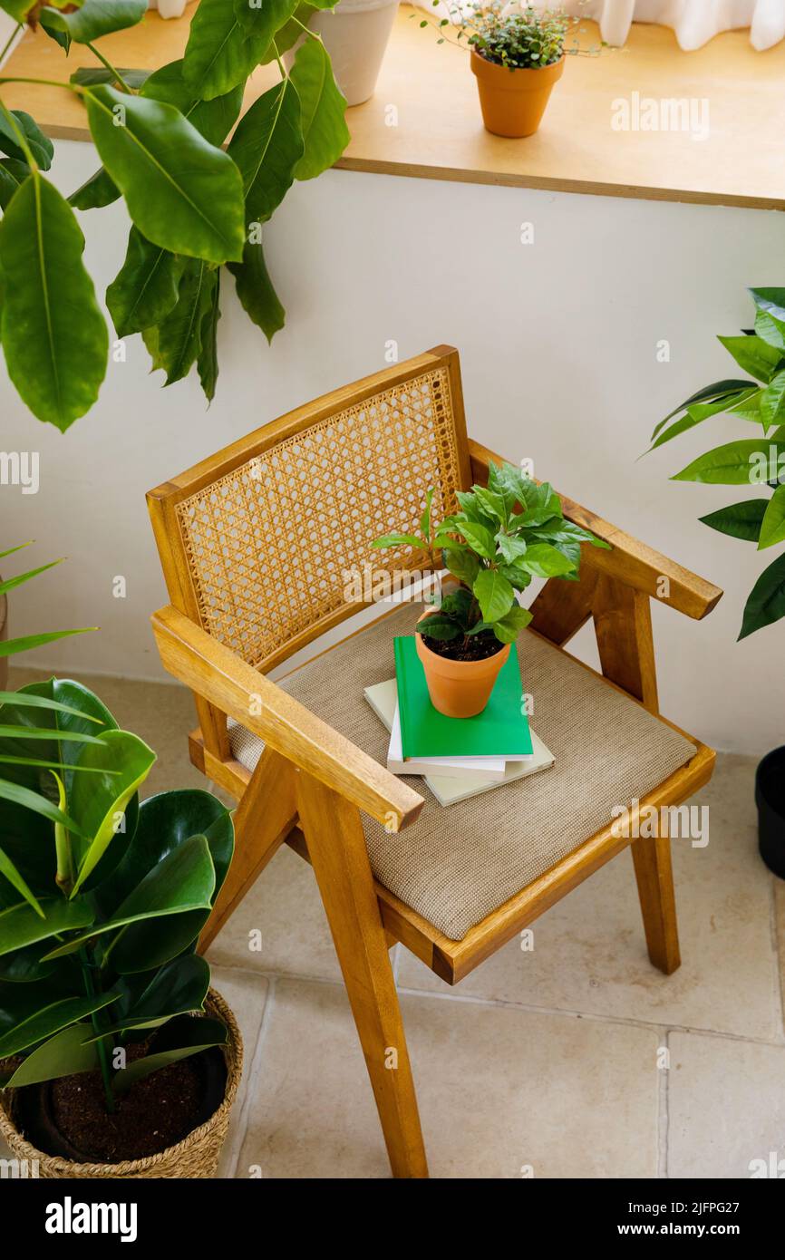 Raising plants hi-res stock photography and images - Alamy