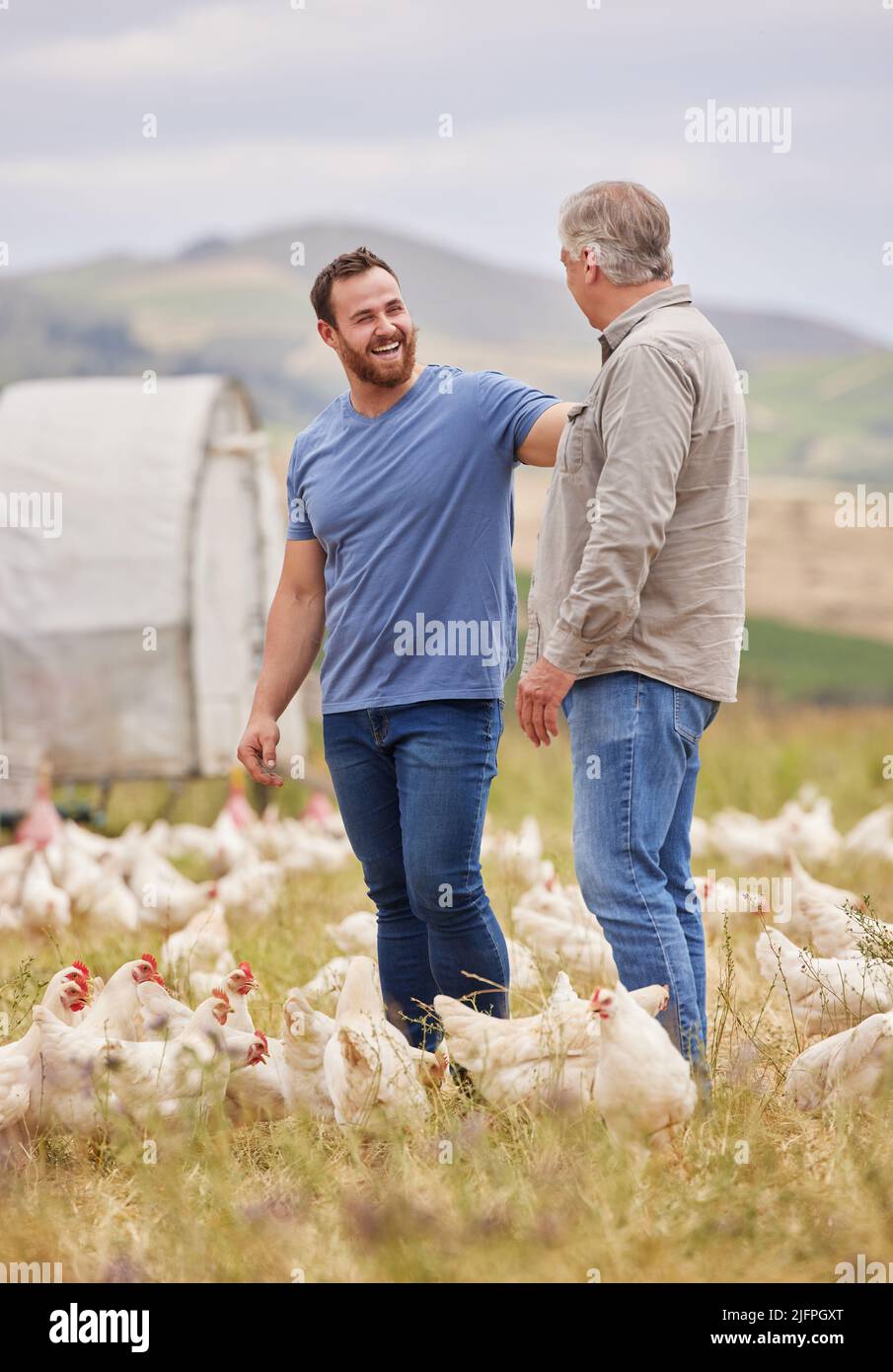Best hen hi-res stock photography and images - Alamy