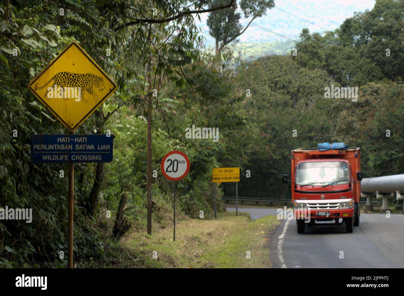 Wildlife crossing signage with a drawing of Javan leopard (Panthera ...