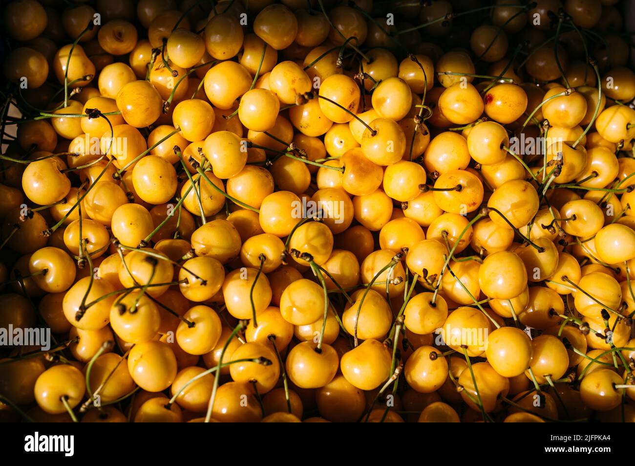 Yellow cherries hi-res stock photography and images - Alamy