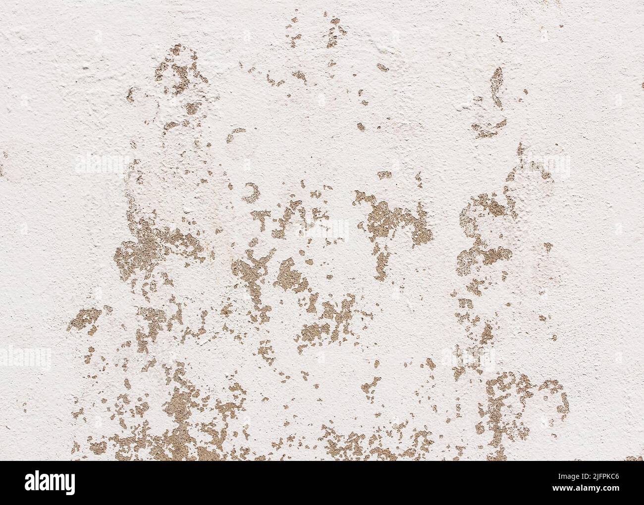 Hi res white concrete textures and backgrounds for any desing Stock ...