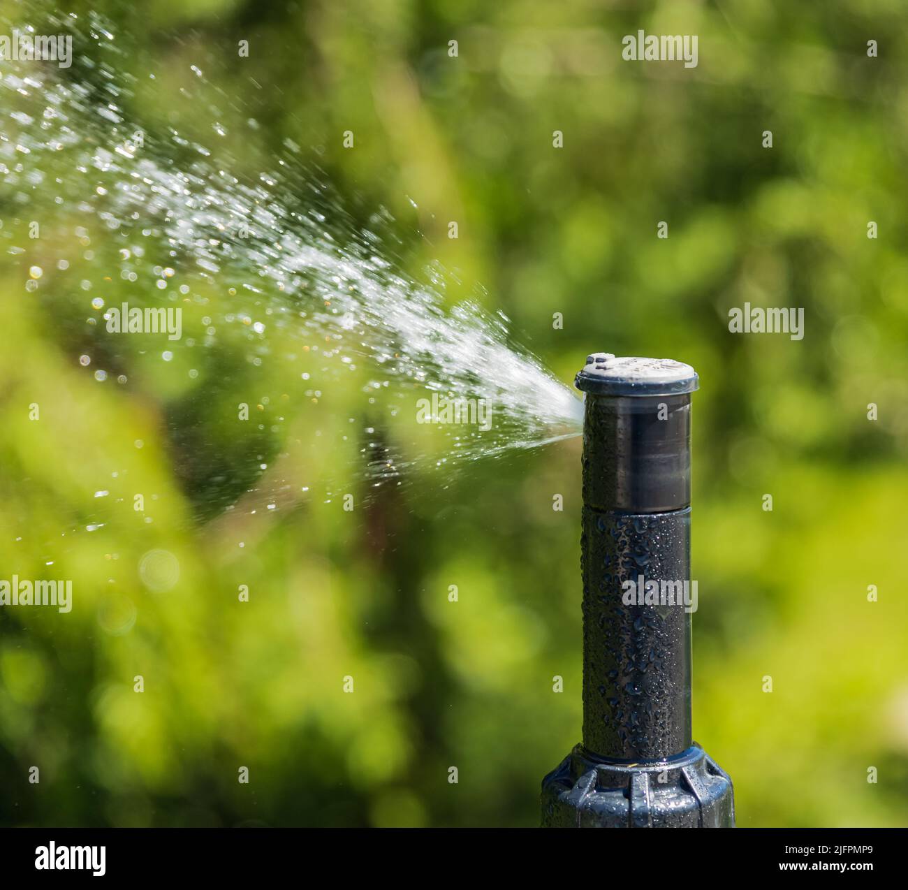 Automatic sprinklers watering grass. Garden Watering Systems ...