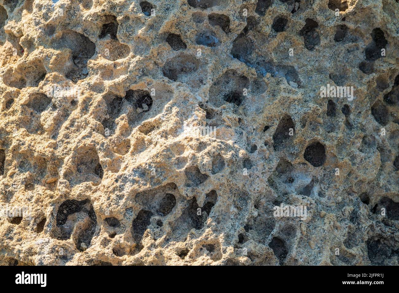 Background texture of limestone stone surface. Shell limestone close-up ...