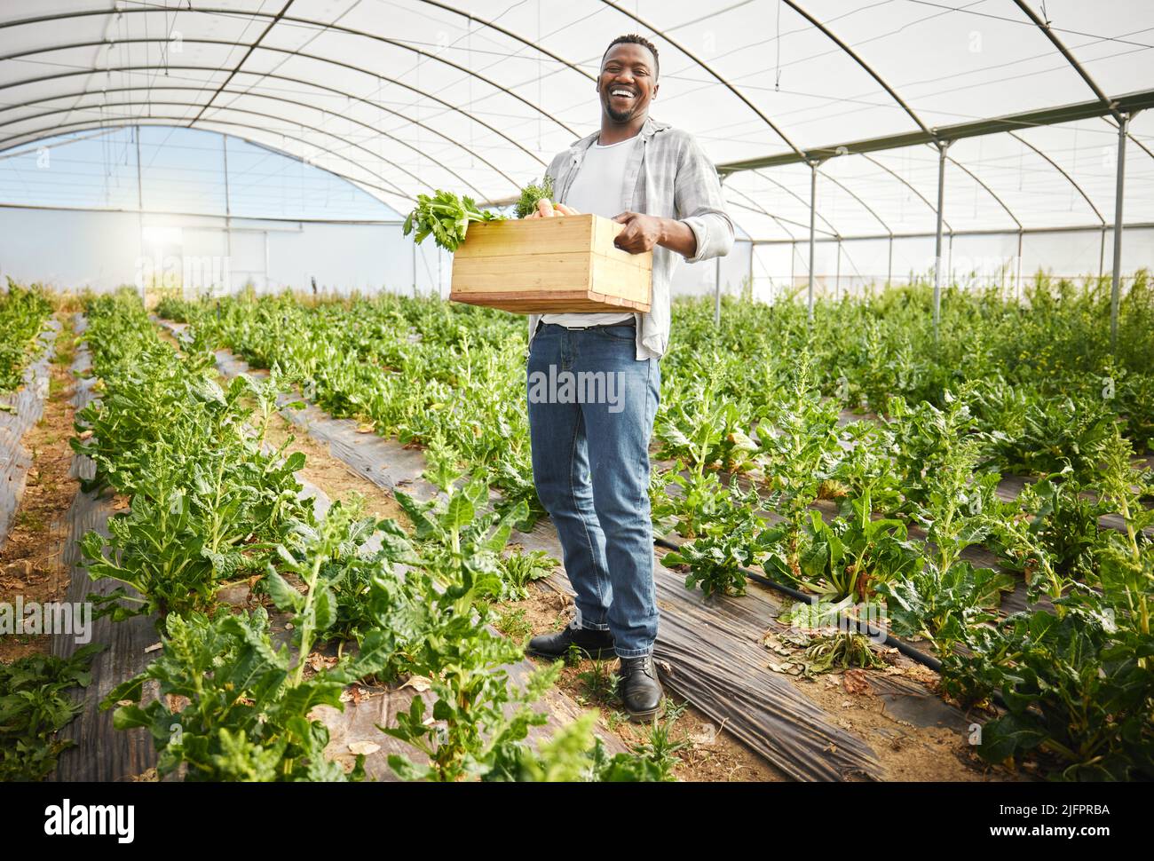 Fresh from the farm. Full length shot of a handsome young man working ...