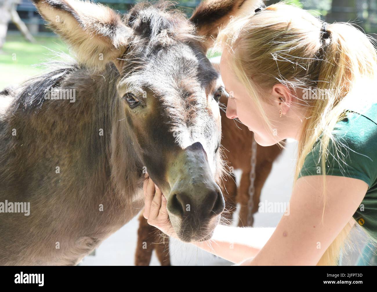 Eilenburg, Germany. 04th July, 2022. A short time takes the 23-year-old ...