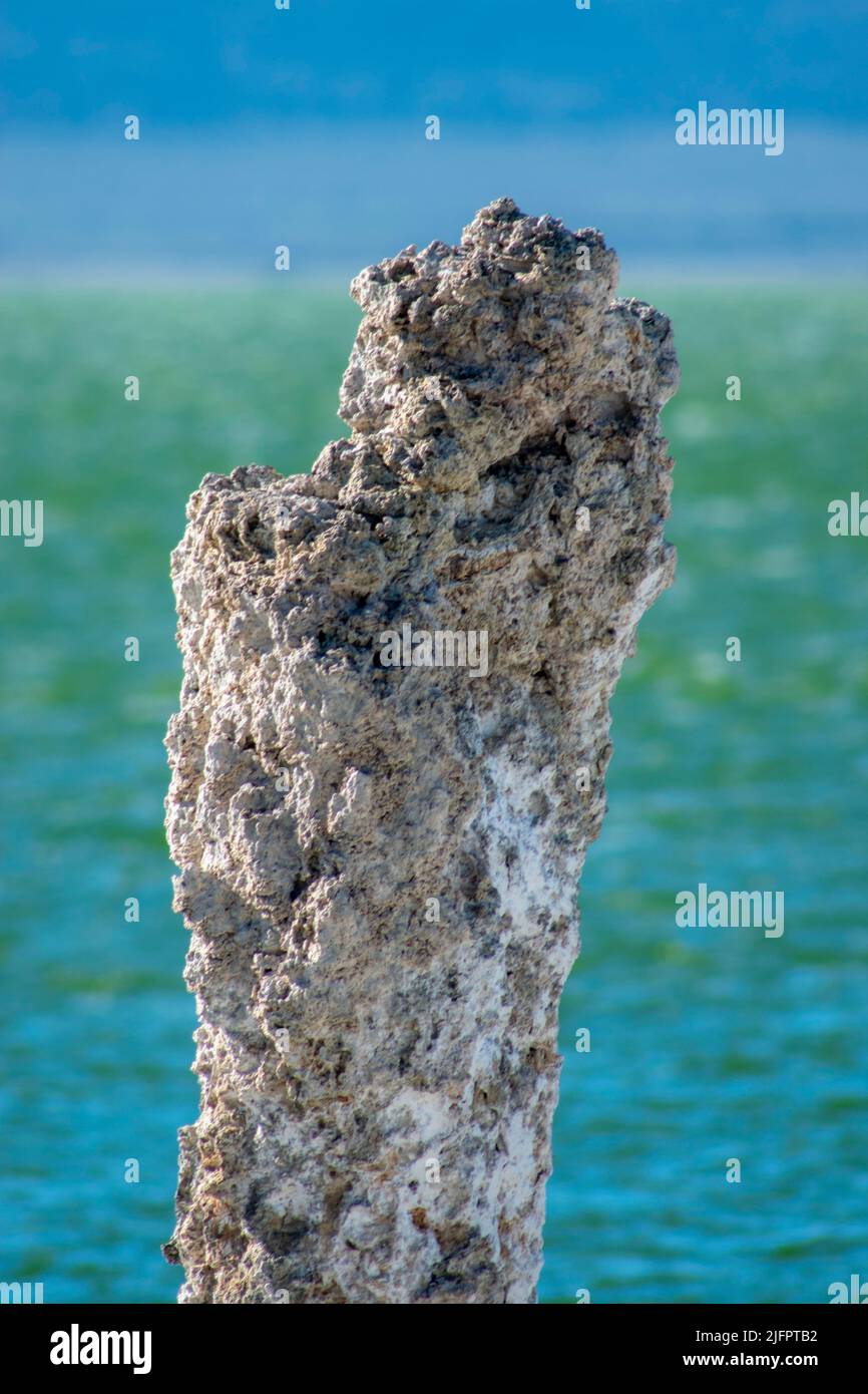 Mono Lake, a symbol of Mono County, CA, can sometimes turn green if it ...
