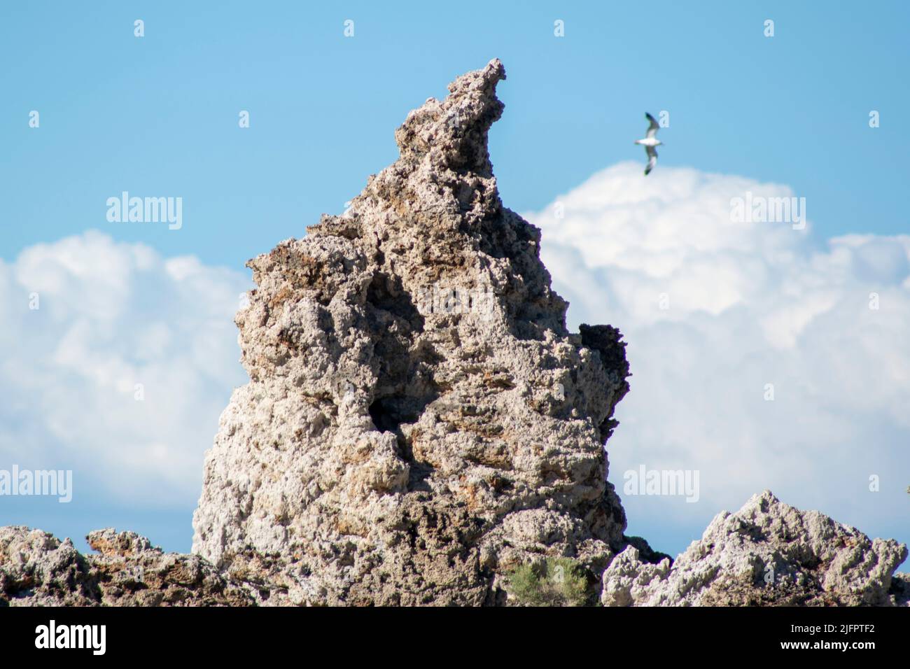 Mono Lake, a symbol of Mono County, CA, can sometimes turn green if it ...