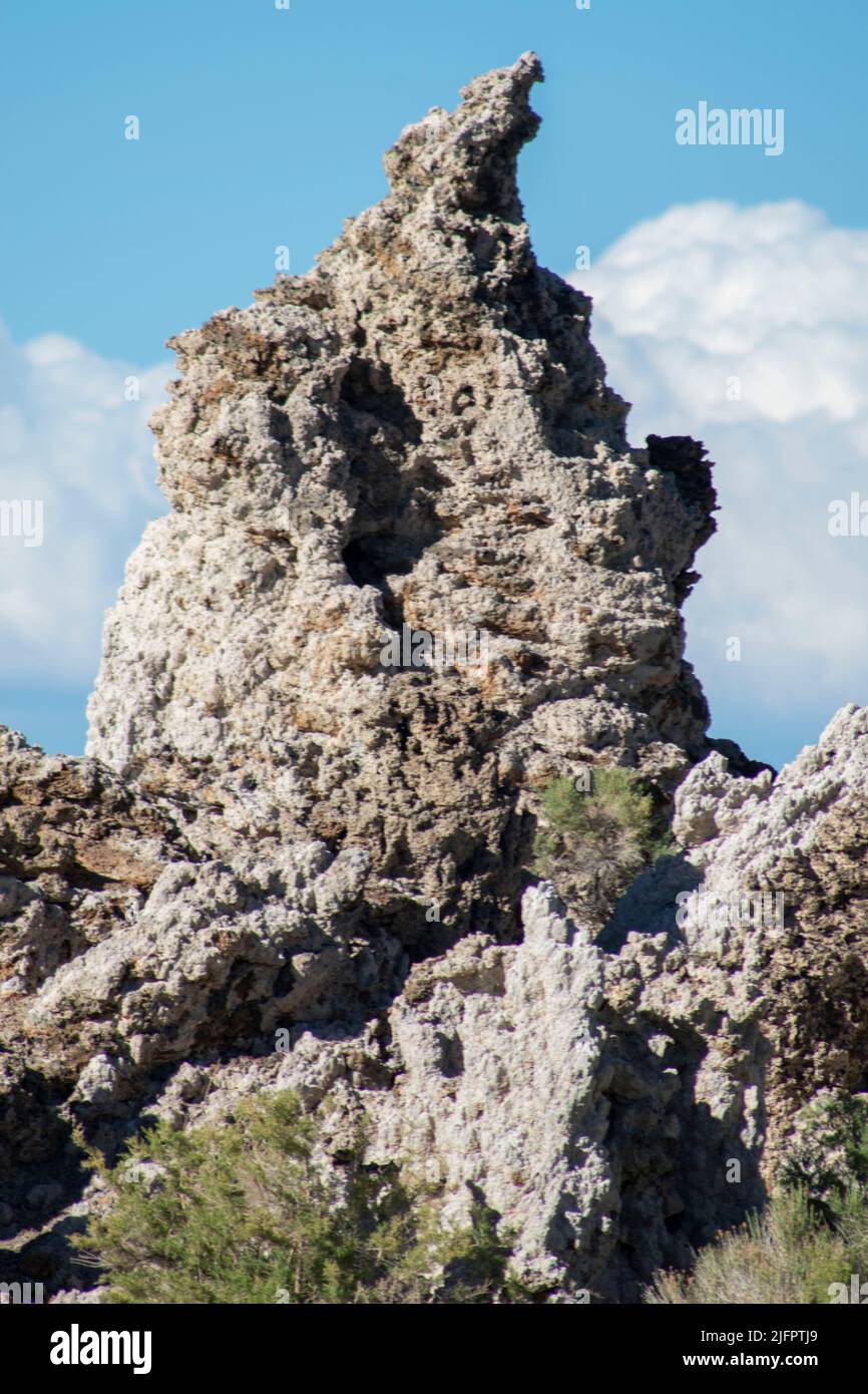 Mono Lake, a symbol of Mono County, CA, can sometimes turn green if it ...