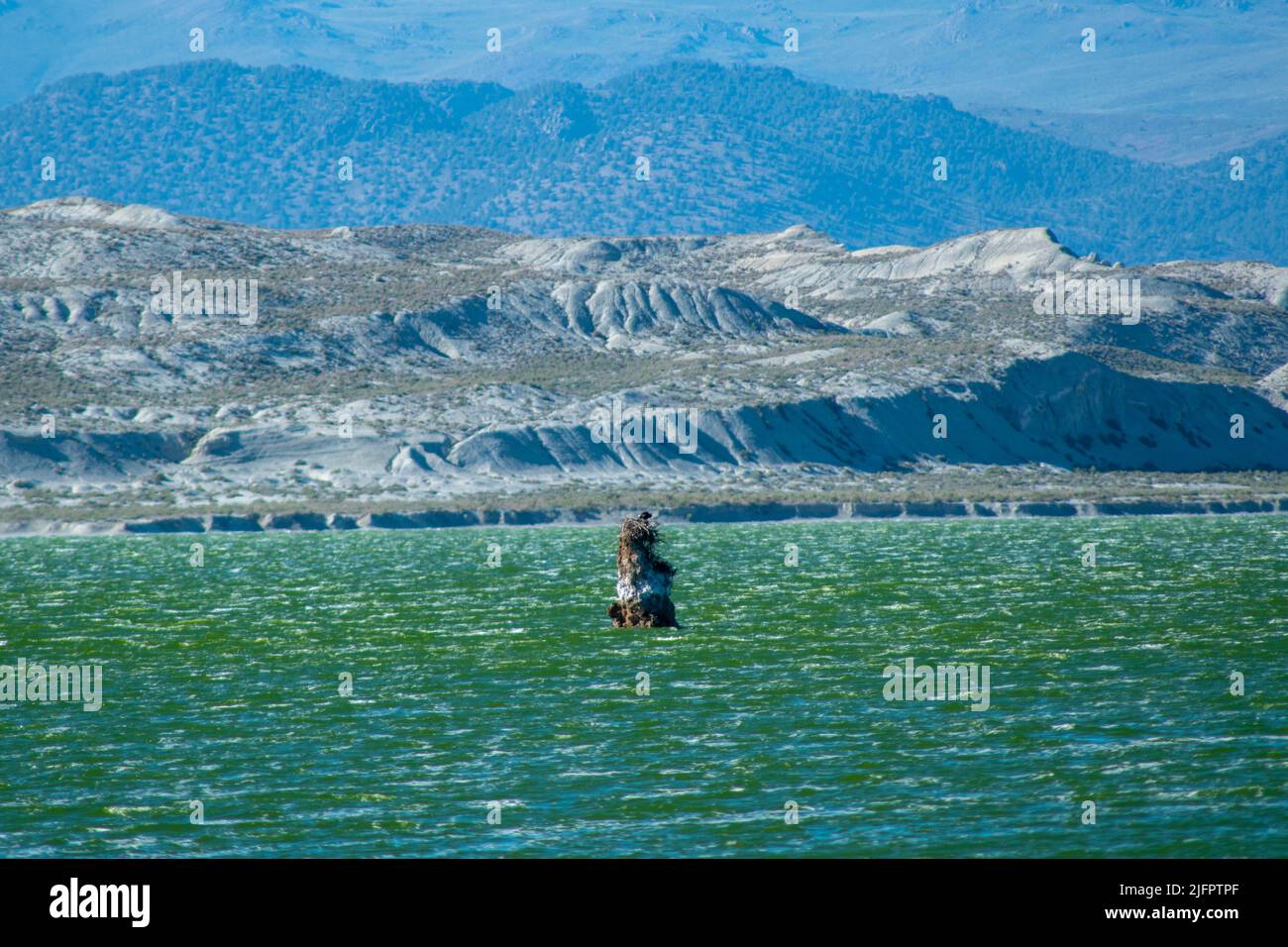 Mono Lake, a symbol of Mono County, CA, can sometimes turn green if it ...