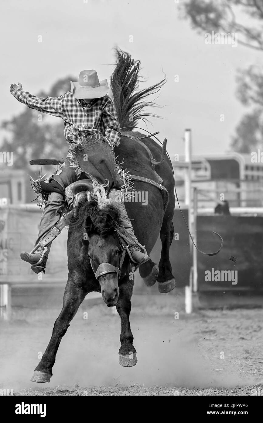 Cowboy riding a bucking bronc at a country rodeo Australia Stock Photo ...