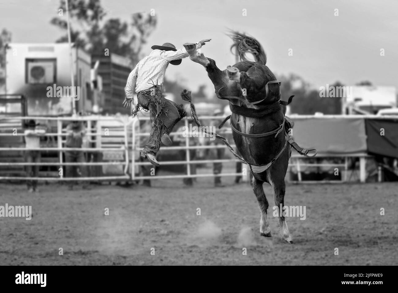 Cowboy thrown off a bucking bronc at country rodeo Australia Stock ...