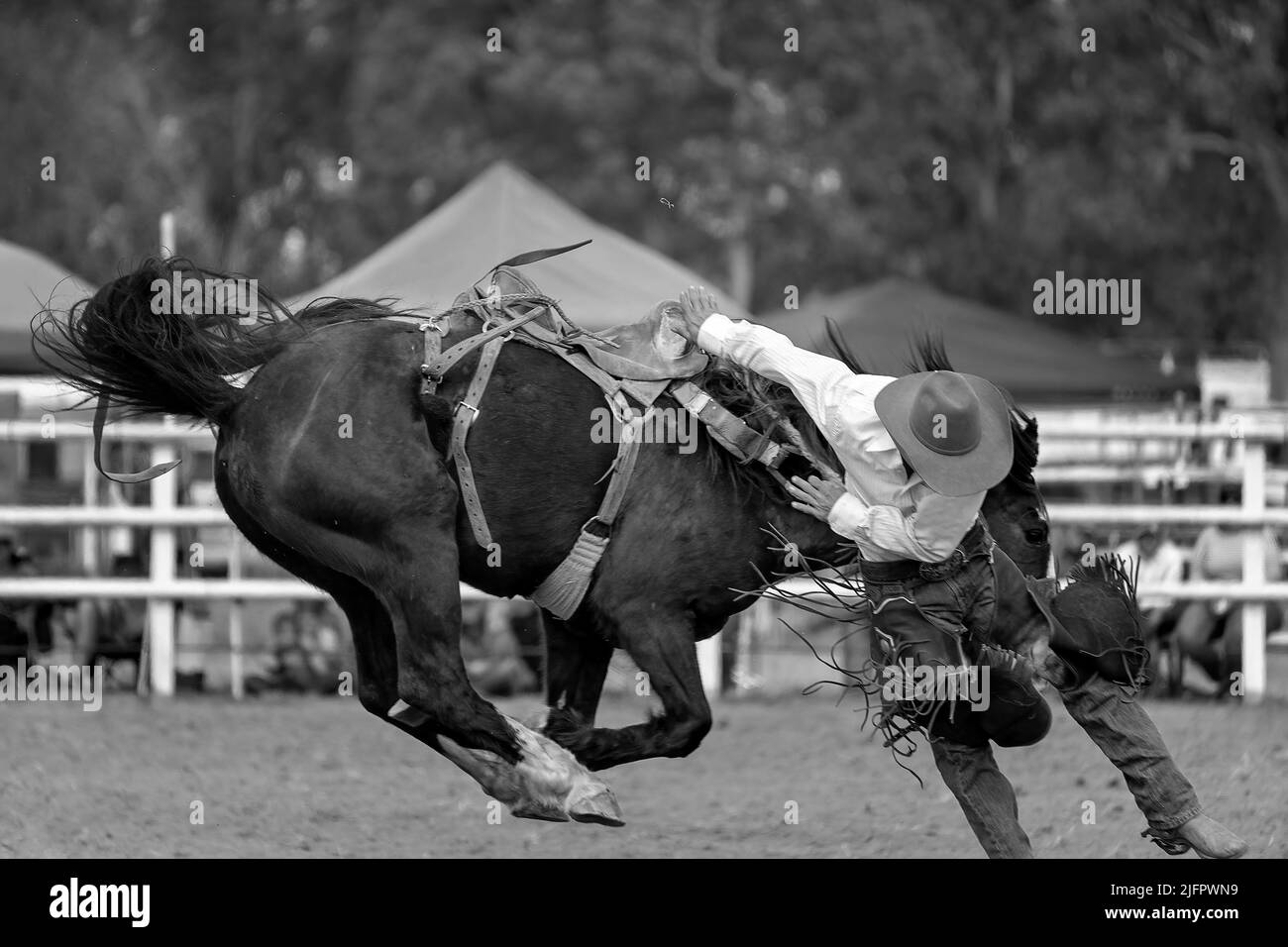 Falling off of horse Black and White Stock Photos & Images - Alamy