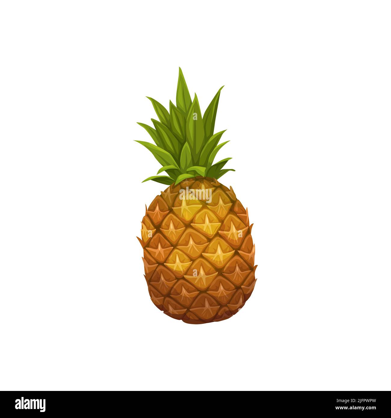 Fresh ripe whole pineapple Stock Vector Images - Alamy