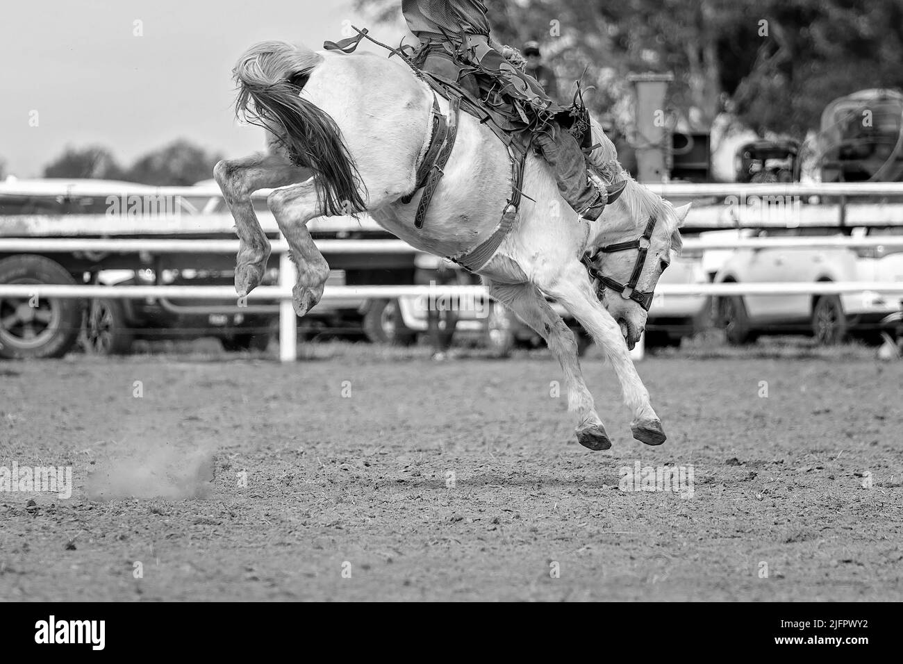Bronc riding Black and White Stock Photos & Images - Alamy