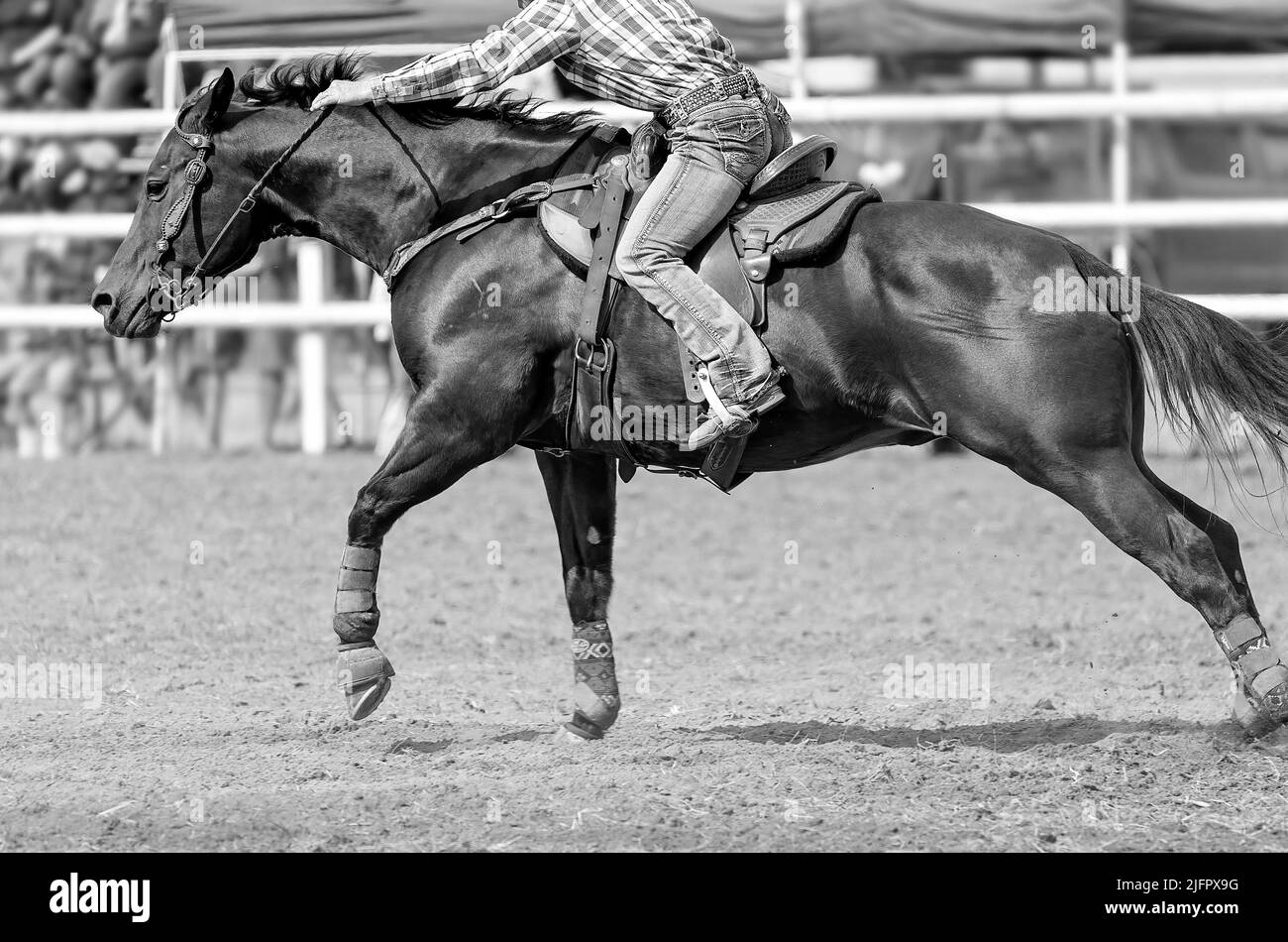 Rider competing in barrel race on horse at country rodeo Australia ...