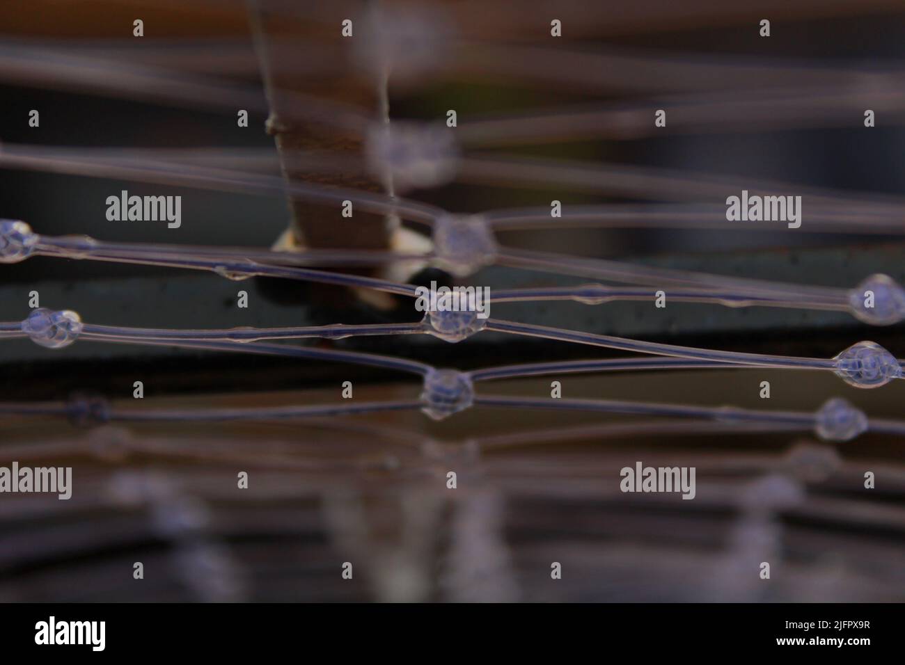 Fiber net wire hi-res stock photography and images - Alamy