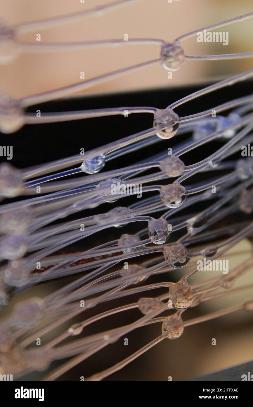 Fiber net wire hi-res stock photography and images - Alamy