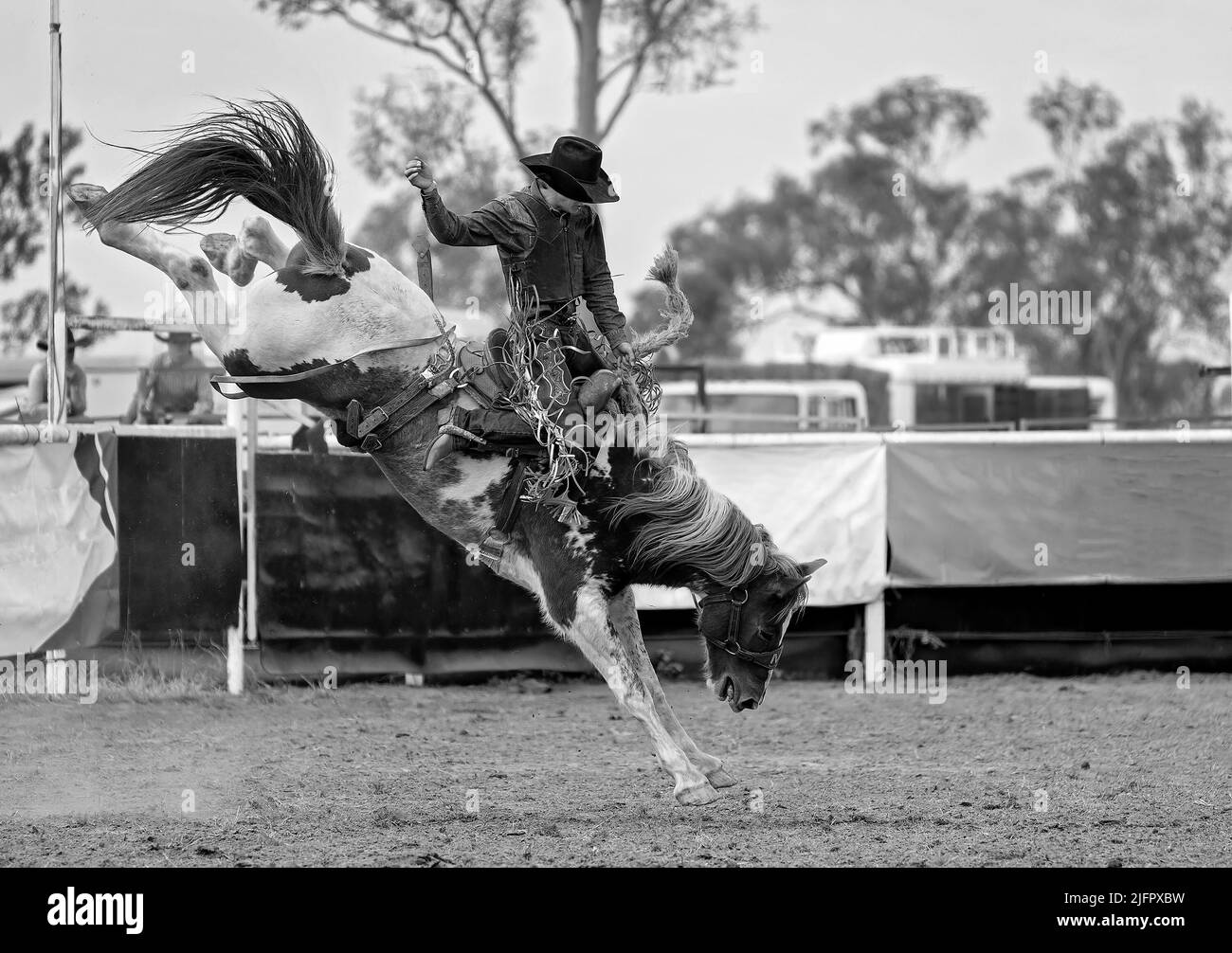 Bronc riding Black and White Stock Photos & Images - Alamy