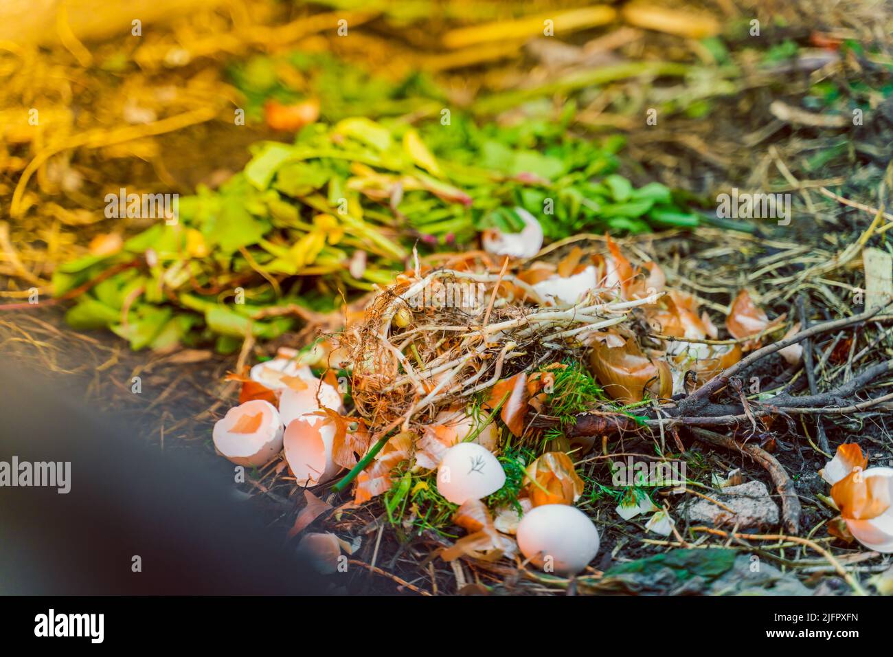 Compost heap with various food and organic waste close-up Stock Photo ...